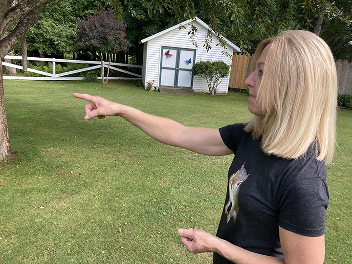 Alpena-area woman cares for, photographs squirrels | News, Sports, Jobs ...